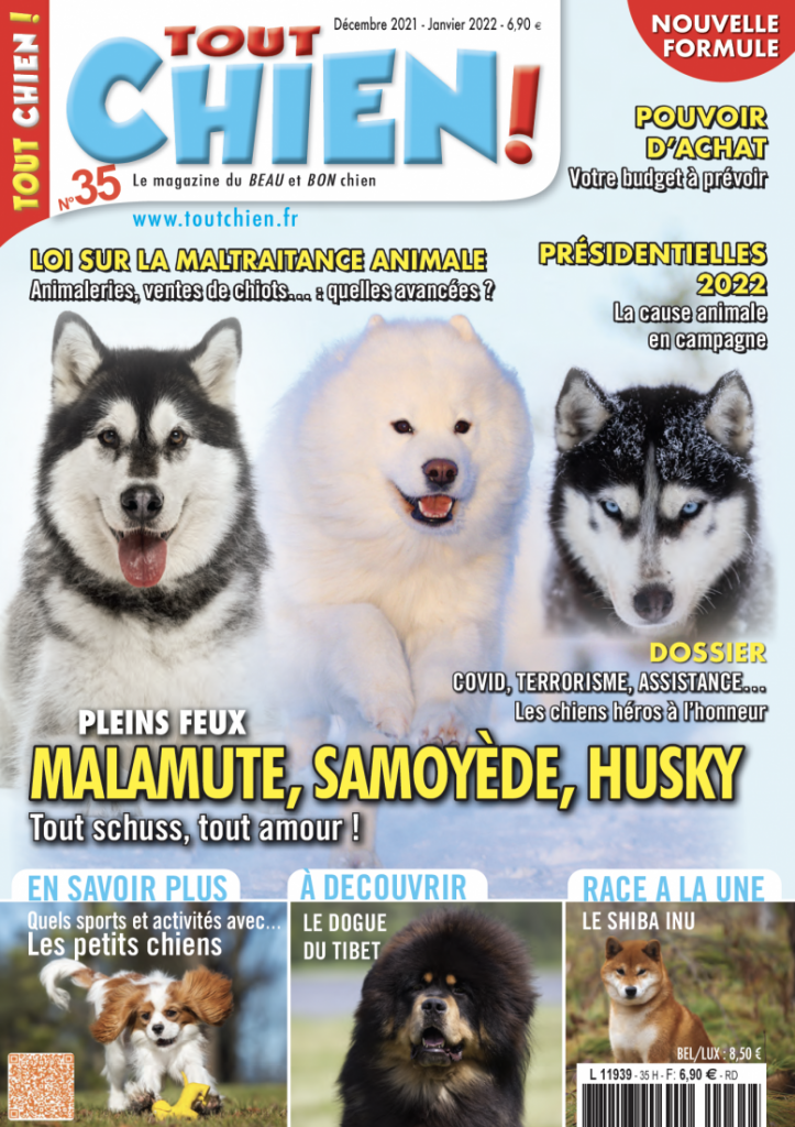 Tout Chien N°035 (Numérique) - Tout Chien le Magazine
